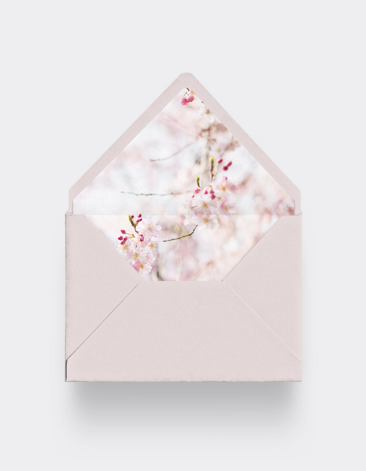 Bloom Envelope Liner • Paper Alchemy