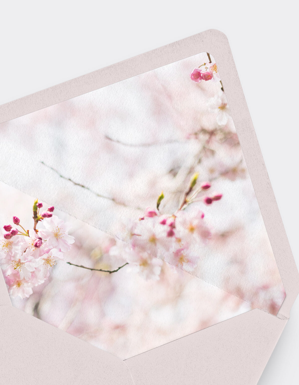 Bloom Envelope Liner • Paper Alchemy